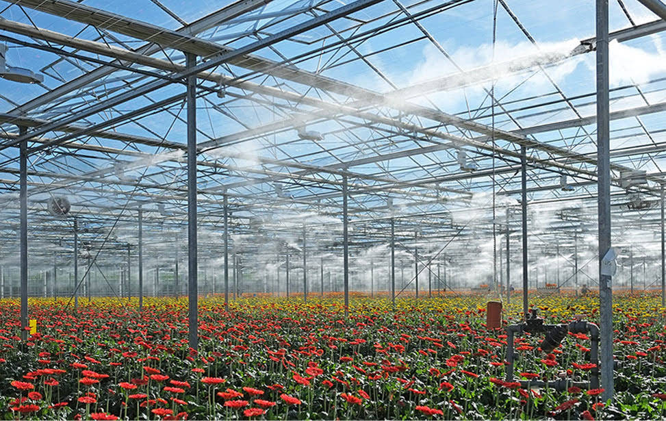 Coatings and high-pressure misting keep crops growing - U Gaat Bouwen | EN